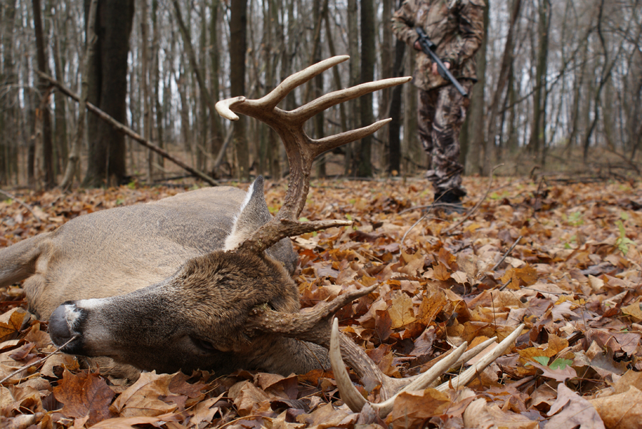 Trophy Room | Lightfield Ammunition